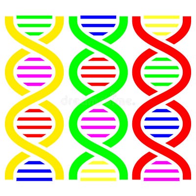 Dna Border Stock Illustrations – 783 Dna Border Stock Illustrations ...