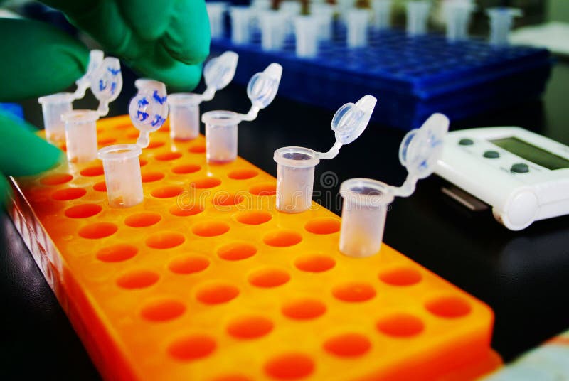 DNA in test tube stock photo. Image of analysis, analyze - 54380974