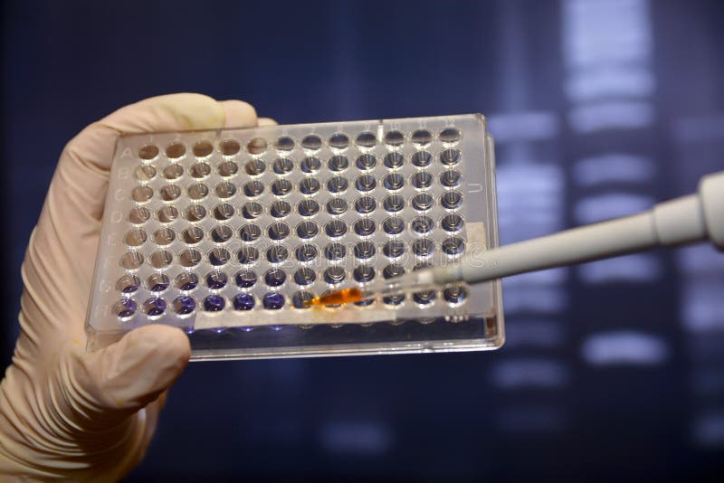 DNA Testing in Genetic Laboratories. Stock Photo - Image of pipette ...