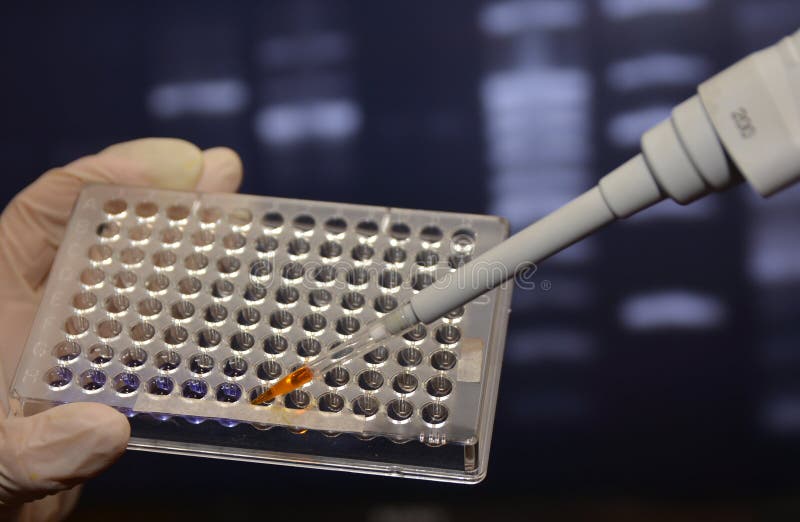 DNA Testing in the Laboratory. Stock Photo - Image of protection ...