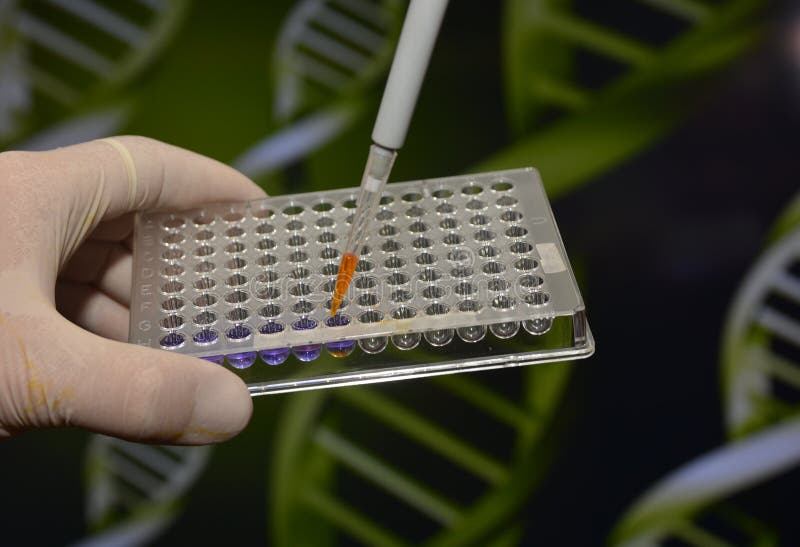 DNA Testing in the Laboratory. Stock Image - Image of drop, experiment ...