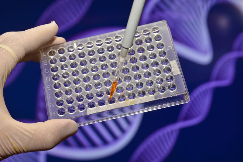 DNA Testing in the Laboratory. Stock Image - Image of equipment, plate ...