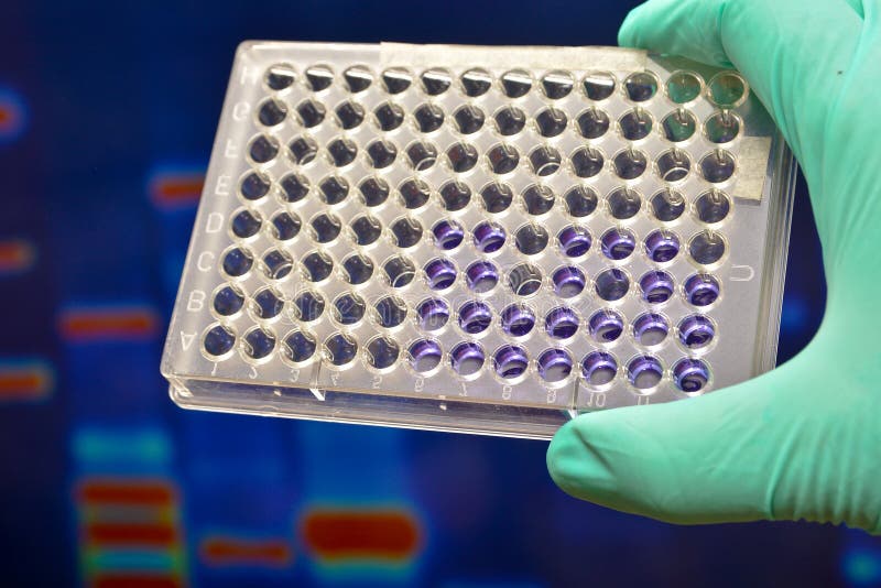 DNA Testing in the Laboratory. Stock Image - Image of health ...