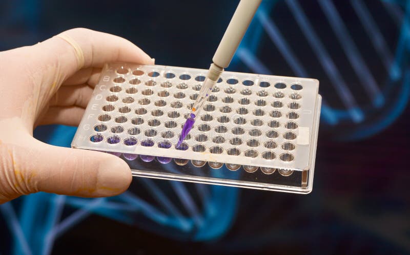 DNA Testing in a Scientific Laboratory. Stock Image - Image of method ...