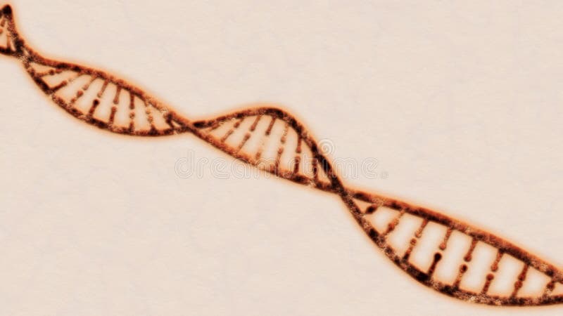 DNA is a Thread-like Chain of Nucleotides Carrying the Genetic ...