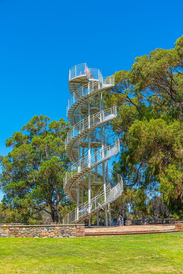 Double Helix Tree Photos - Free & Royalty-Free Stock Photos from Dreamstime