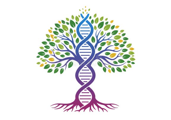 DNA Tree of Life Vector Logo Concept Stock Illustration - Illustration ...
