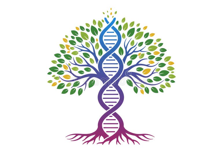 DNA Tree of Life Vector Logo Concept Stock Illustration - Illustration ...