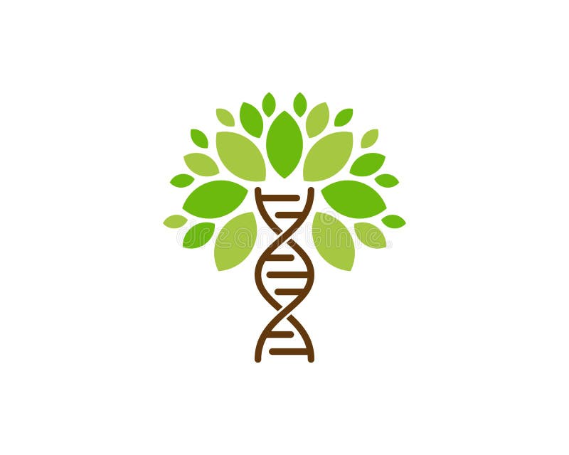 Dna Tree Logo Icon Design stock vector. Illustration of element - 127951743