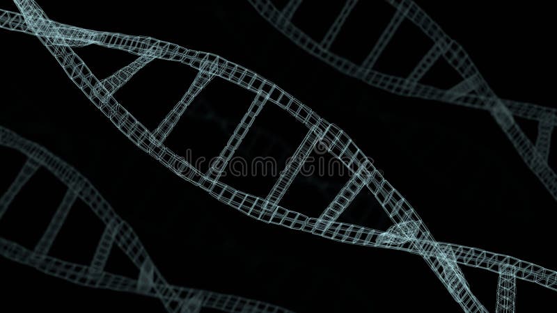 DNA Wireframe stock illustration. Illustration of biotechnology - 69737428