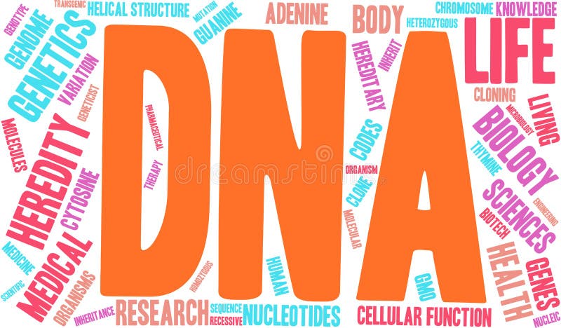 DNA Word Cloud stock vector. Illustration of genetics - 108485699