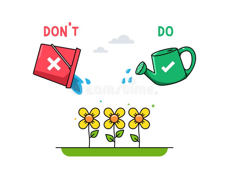 Do and Dont Watering Flower. Isolated Vector Illustration Stock ...