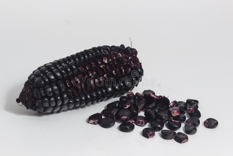 Do milho vida roxa ainda imagem de stock. Imagem de isso - 117836777