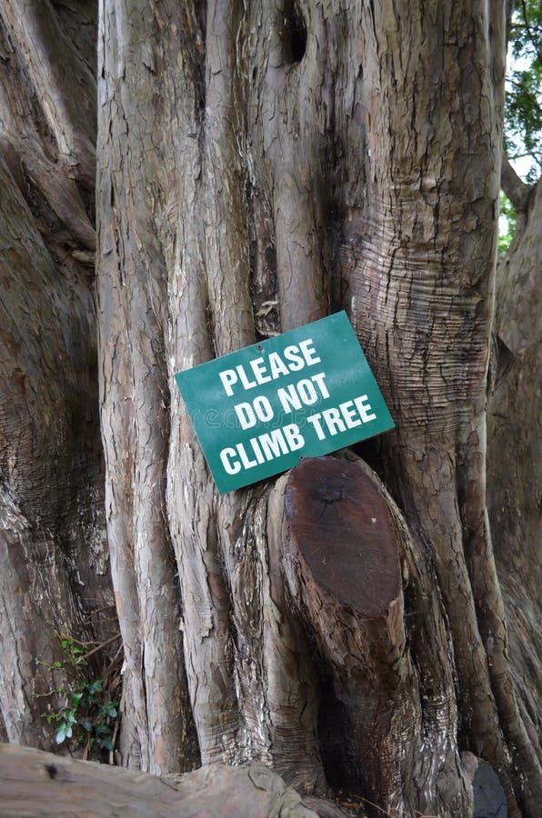 Do not climb sign. stock image. Image of please, protect - 41322541