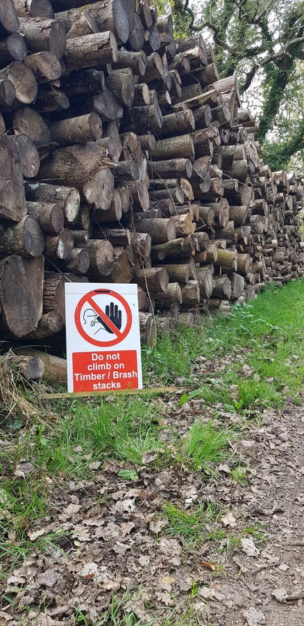 Timber Log stack stock image. Image of logging, woodpile - 24284543