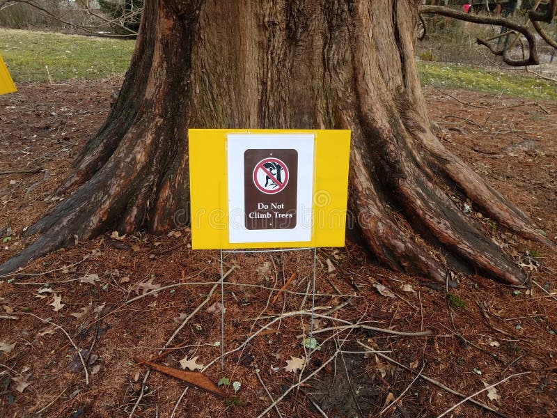 Do Not Climb Trees Sign and Tree Outdoor Stock Photo - Image of ...