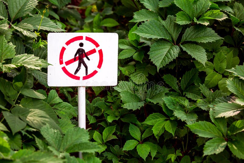 Do Not Cross sign. stock photo. Image of park, symbol - 97146934