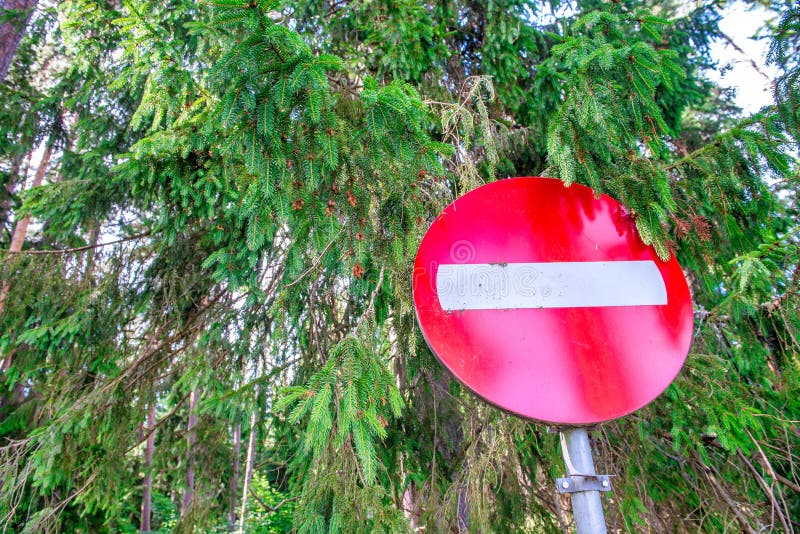 Do Not Enter Street Sign in Front of Forest Trees Stock Photo - Image ...