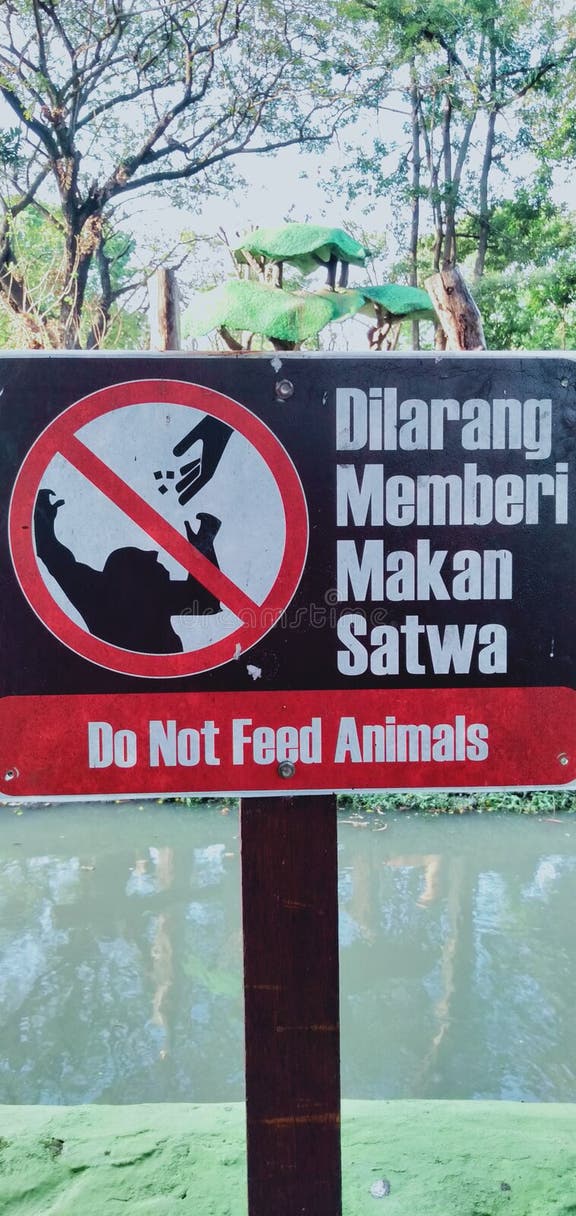 Do not feed animals stock image. Image of feed, warningboard - 152093965