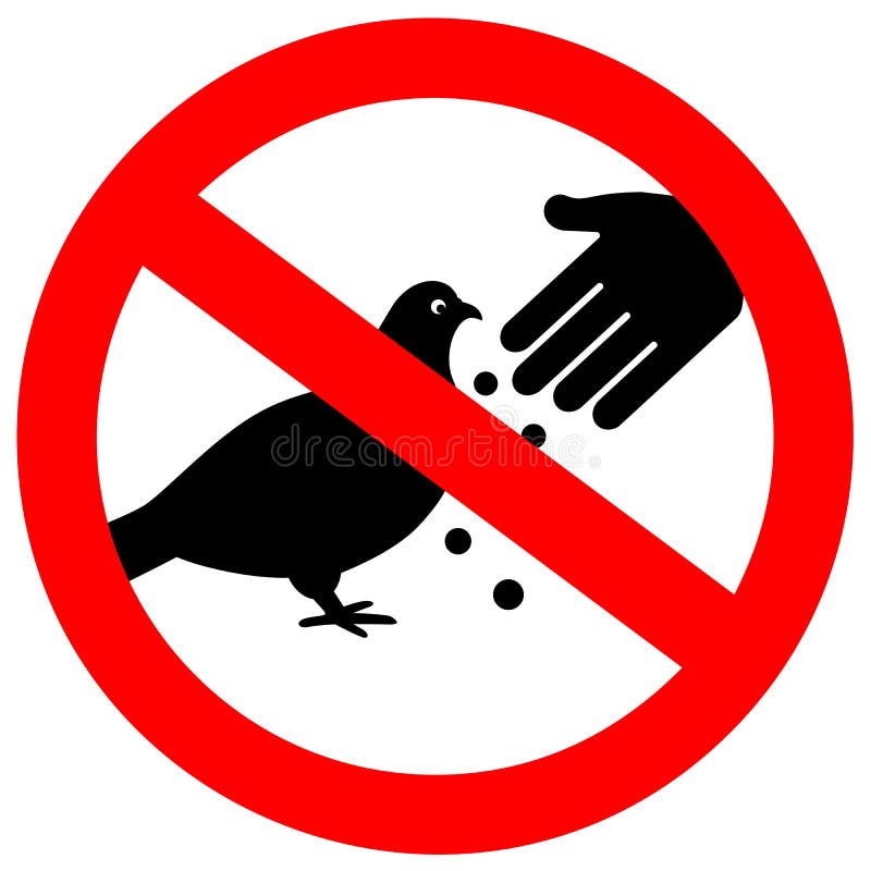 No Pigeons Allowed Vector Sign Stock Vector - Illustration of bird ...