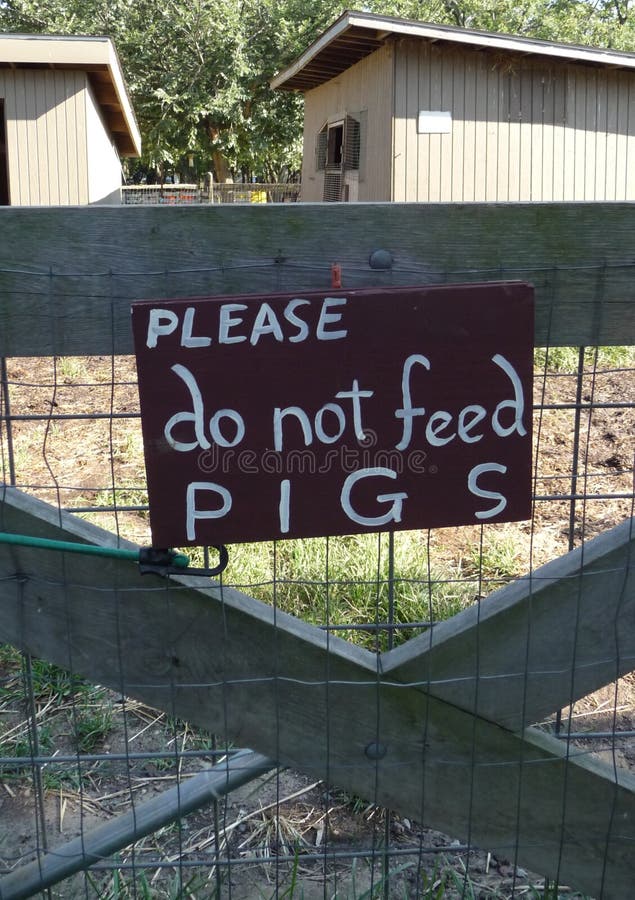 Do Not Feed Pigs Sign stock image. Image of outdoors - 20996445