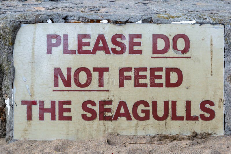 A Do Not Feed the Seagulls Sign at the Coast Stock Photo - Image of ...