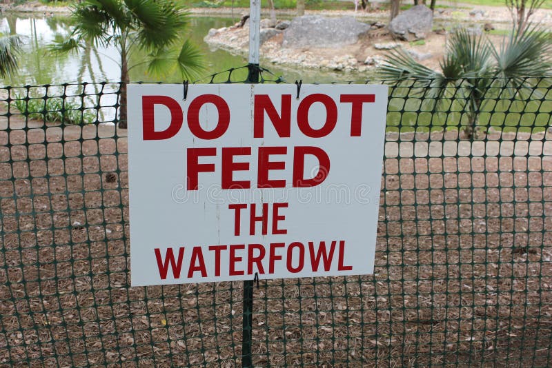 Do Not Feed Ducks Sign Park Stock Photos - Free & Royalty-Free Stock ...