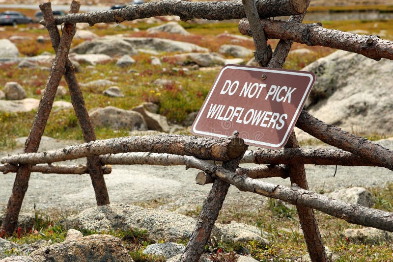 Do Not Pick Wildflowers Sign Stock Photo - Image of sign, nature: 10953896