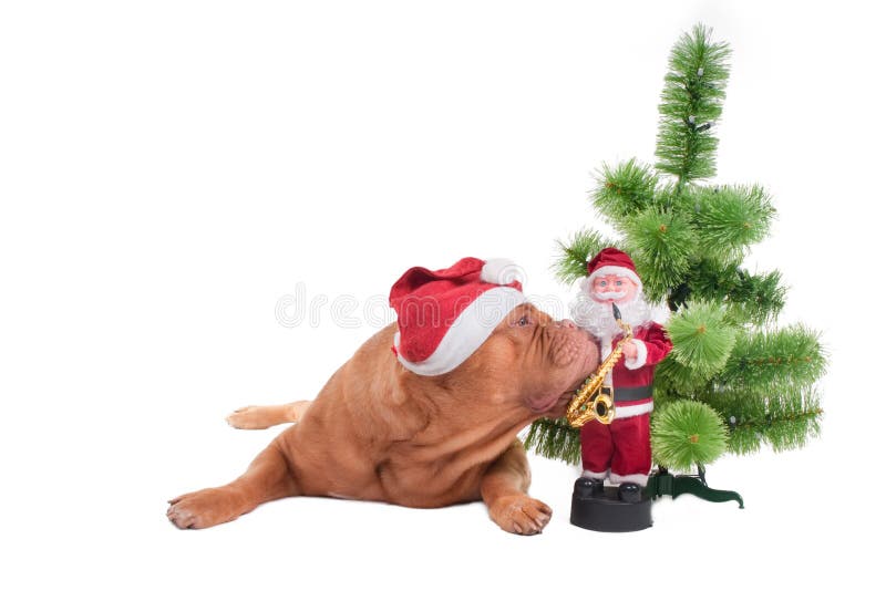 Decoration Santa Coming Down Railings Stock Photos - Free & Royalty ...