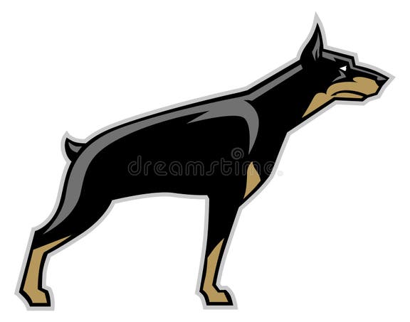 Angry Doberman Stock Illustrations – 420 Angry Doberman Stock ...