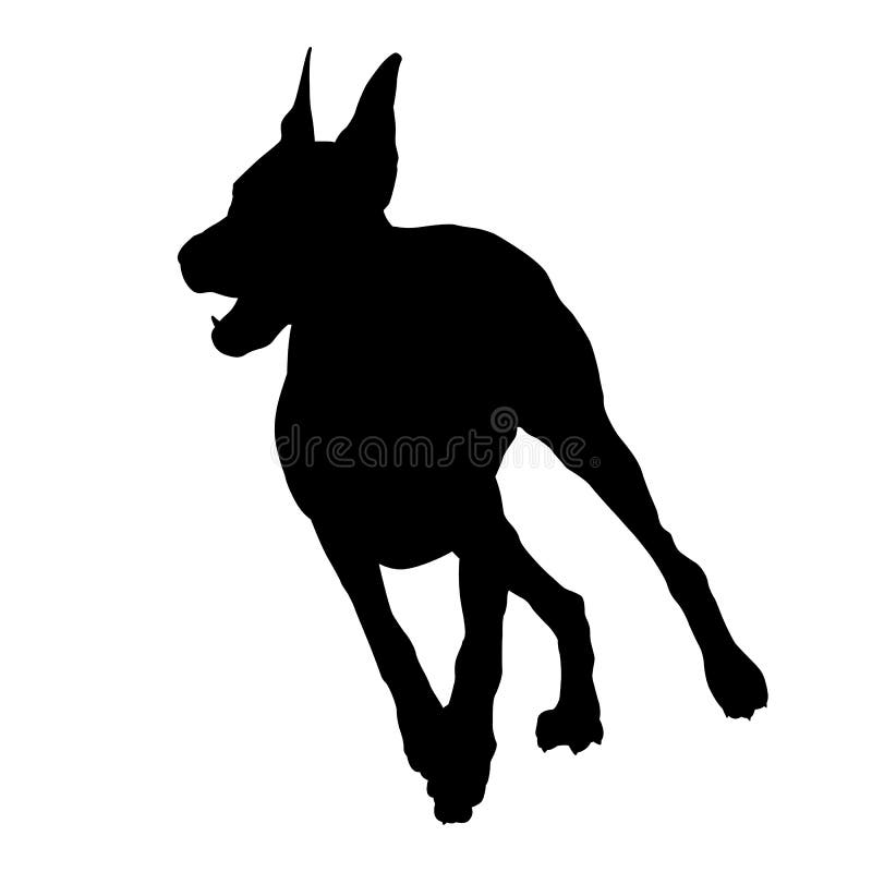 Doberman Running Black Silhouette Stock Illustration - Illustration of ...