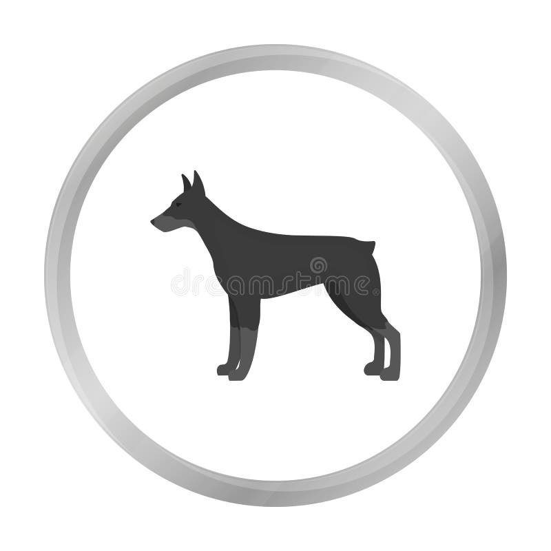 Doberman Vector Icon in Monochrome Style for Web Stock Vector ...