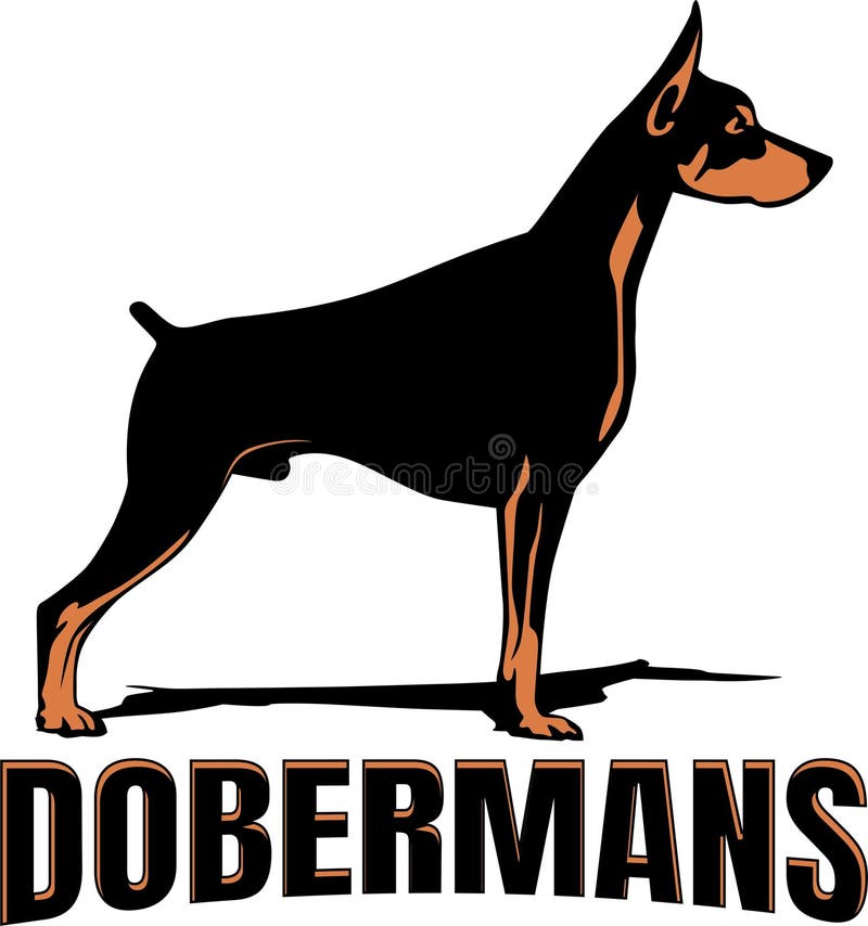 Happy Dobermann Stock Illustrations – 137 Happy Dobermann Stock ...