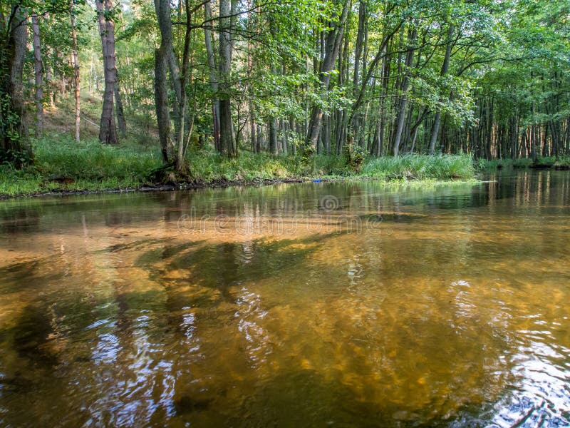 Dobrzyca river stock image. Image of supreme, tiptop - 209707325