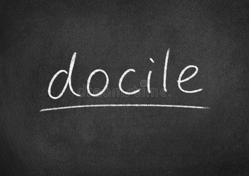 Docile imagem de stock. Imagem de conceito, fundo, texto - 164350315