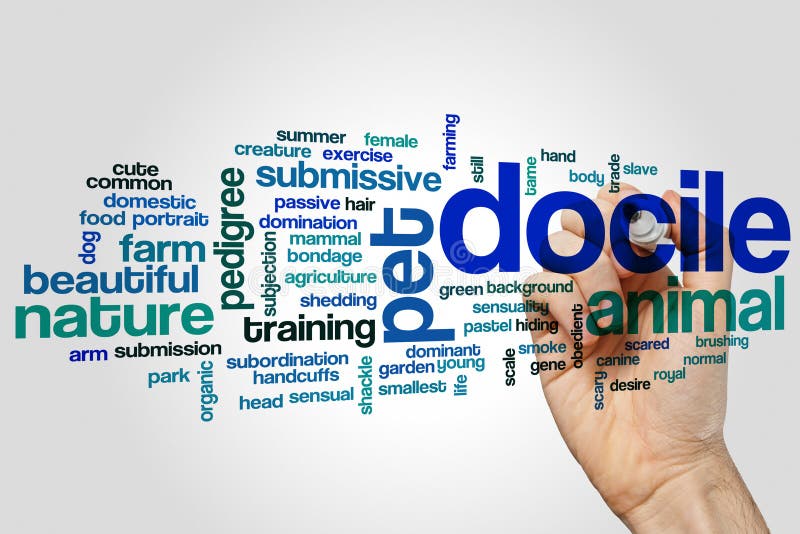 Docile word cloud stock photo. Image of domination, hair - 88379240