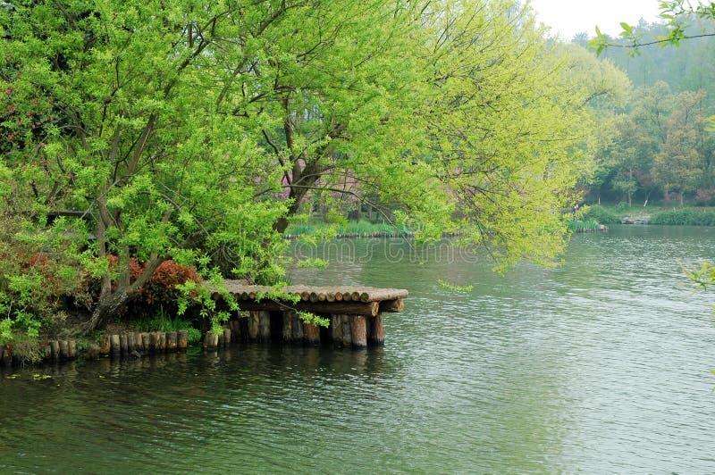 Dock stock photo. Image of landing, spring, forest, river - 8478328