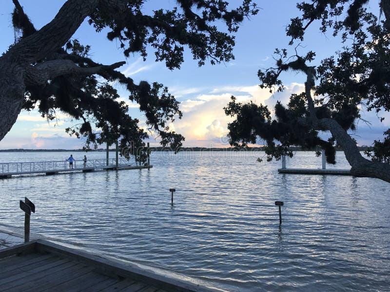 Dock of the bay editorial photo. Image of waterlife, dock - 98481371