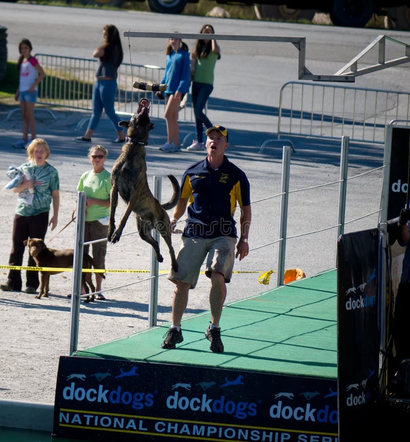 Dock Dog National Championship Editorial Stock Photo - Image of dock ...