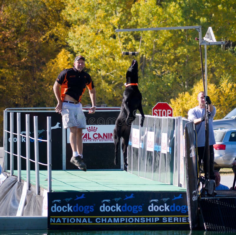 Dock Dog National Championship Big Air Event Editorial Image - Image of ...