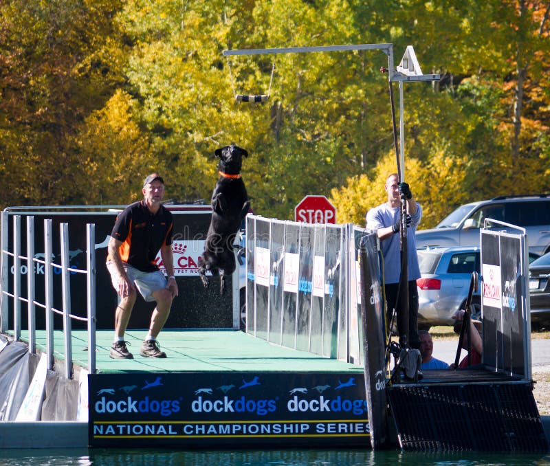 Dock Dog National Championship Big Air Event Stock Photos - Free ...