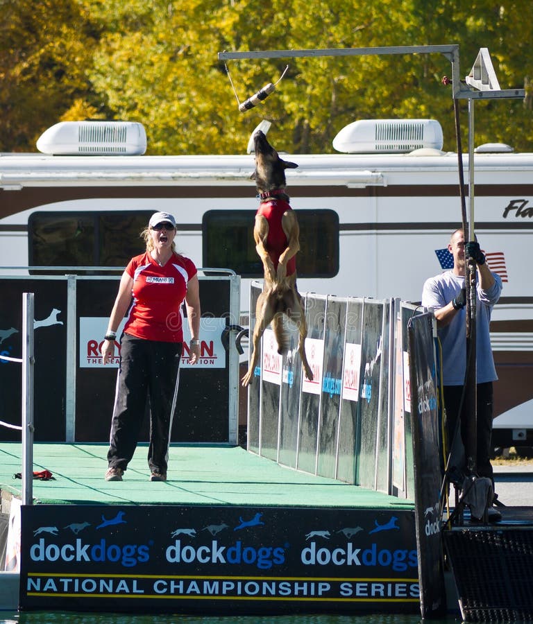 Dock Dog National Championship Big Air Event Editorial Photo - Image of ...
