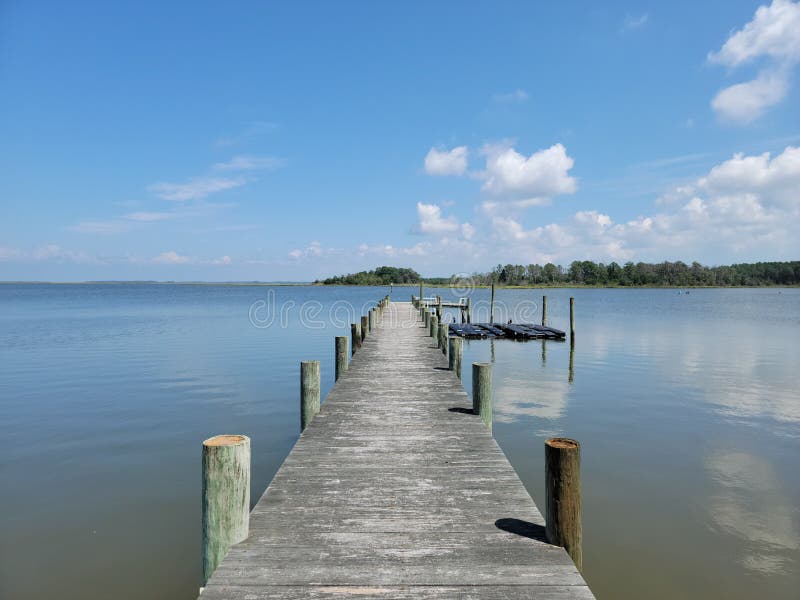 On the Dock Looking Over the Bayou Stock Image - Image of waterway ...