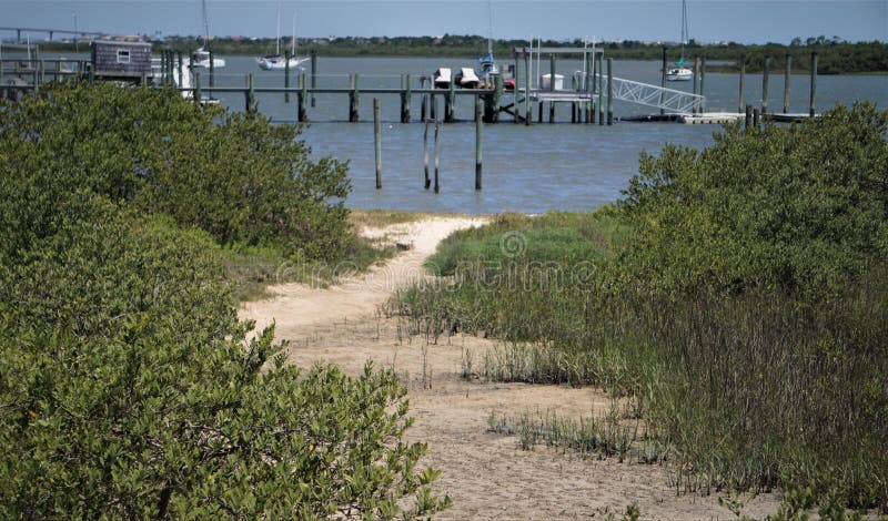 Dock Path stock photo. Image of lake, dock, marsh, inlet - 250359028