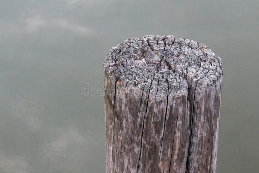 Dock post stock photo. Image of lake, post, sturdy, strong - 92564814