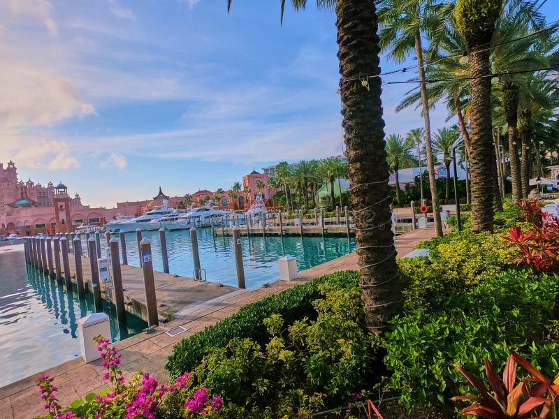 Dock in Tropics with Palm Trees and Gardens Stock Image - Image of ...
