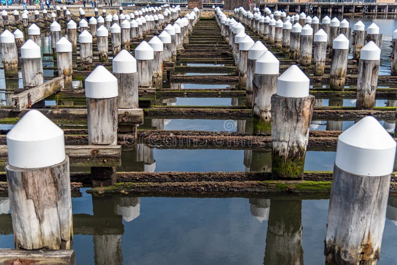 Docklands is a Modern Harbour Development Dominated by High-rises and ...