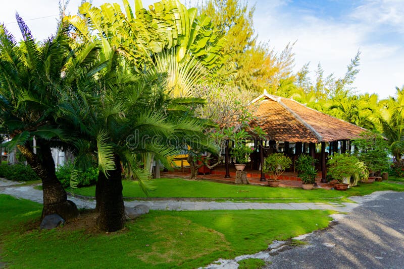 Park stock image. Image of foliage, vegetation, plant - 263700705