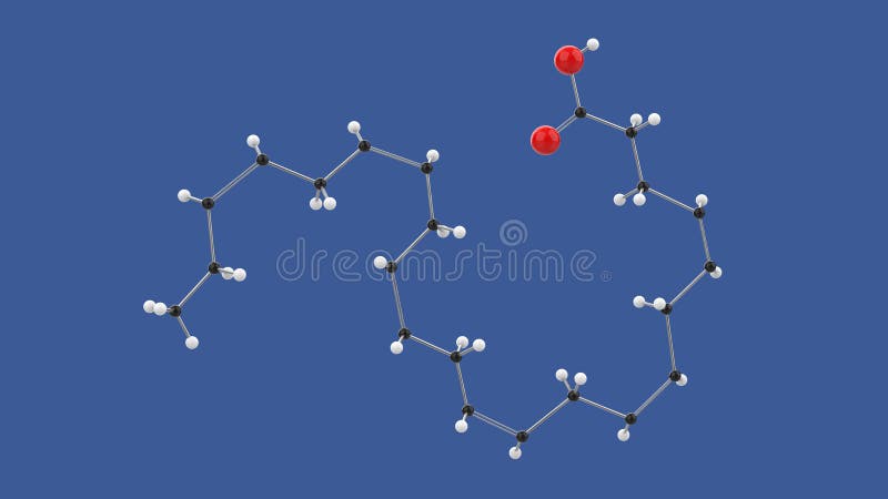Docosahexaenoic Acid 3D Molecule Structure Illustration Stock ...