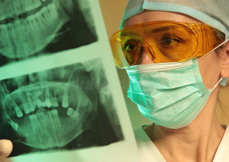 Female Dentist Examining Jaw Xray on Computer in Clinic Stock Photo ...